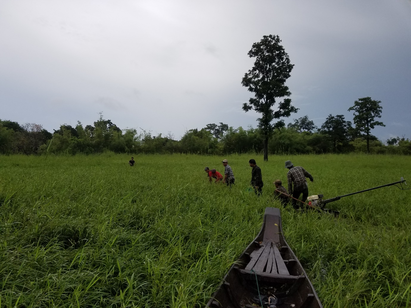 Fieldwork: deeper into the forest – CONSERVATION SCIENCE