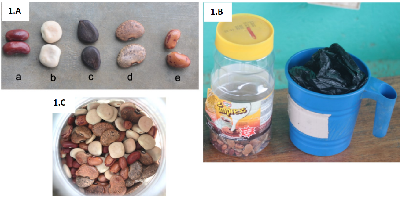The bean method as a tool to measure sensitive behaviour – CONSERVATION ...